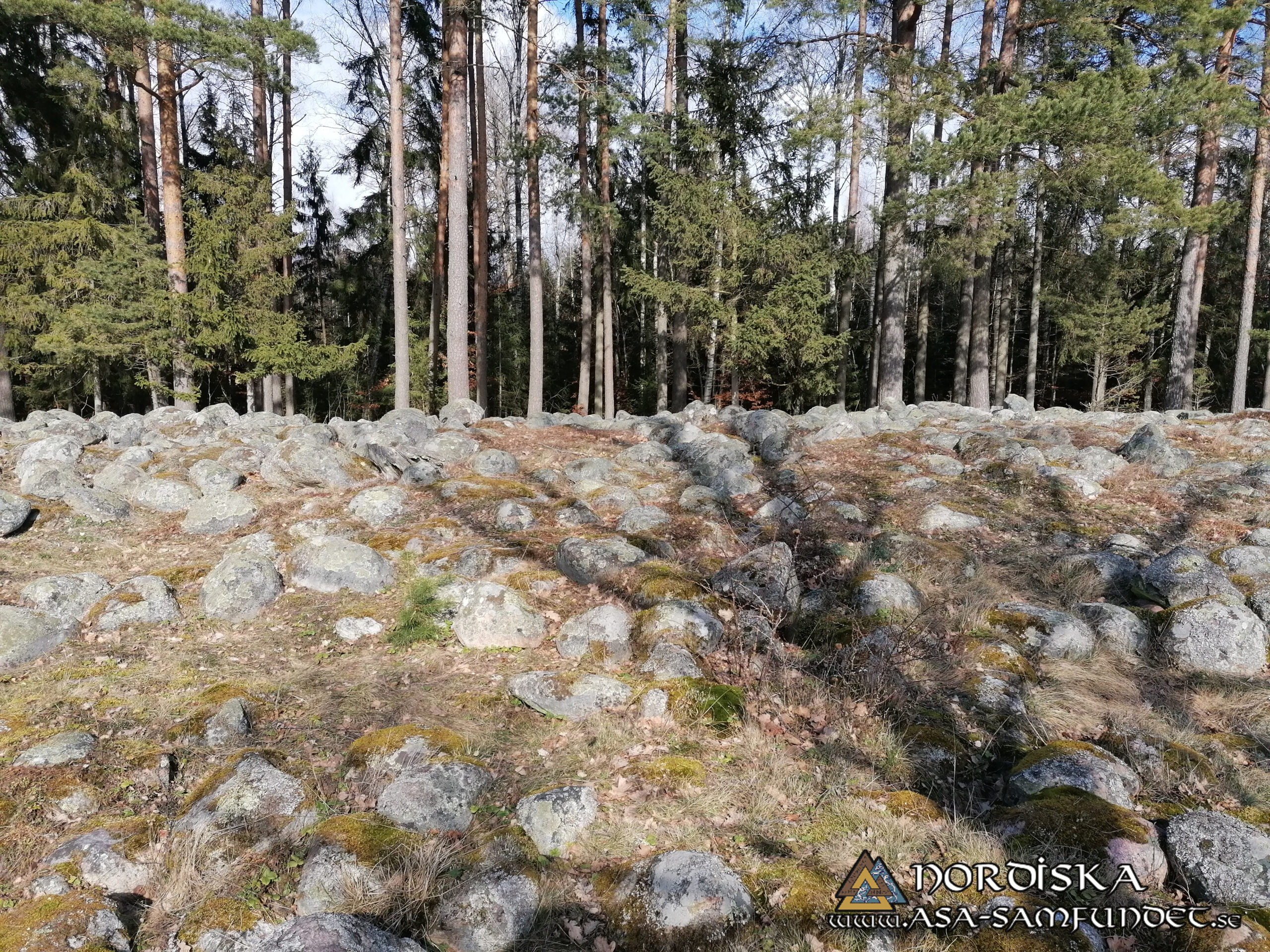 Utförda Blot 2024: Blotlag Yggdrasil och Sleipner höll gemensamt ...
