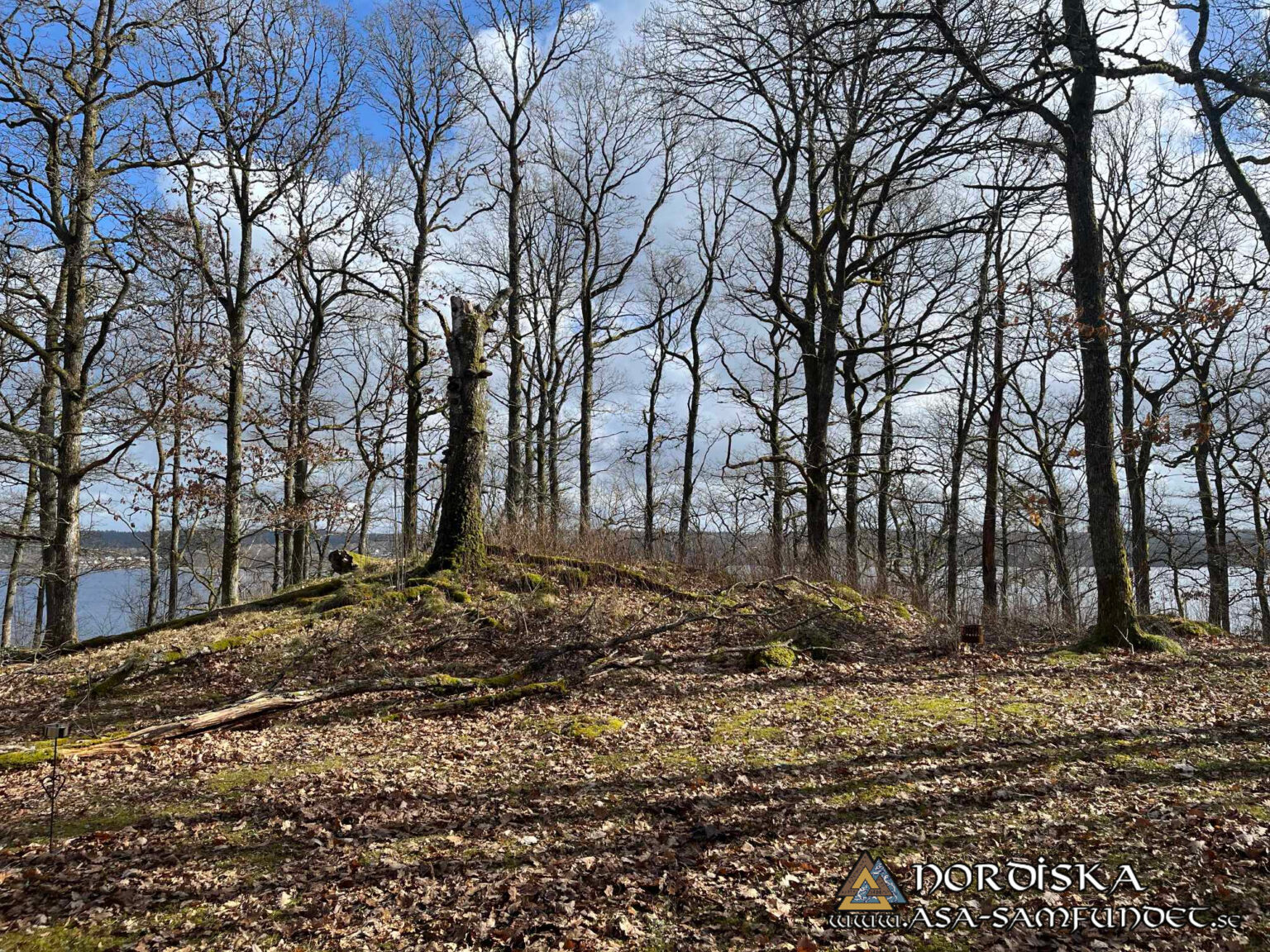 Utförda Blot 2024: Blotlag Gungnir höll Disablot 23 mars 2024 ...